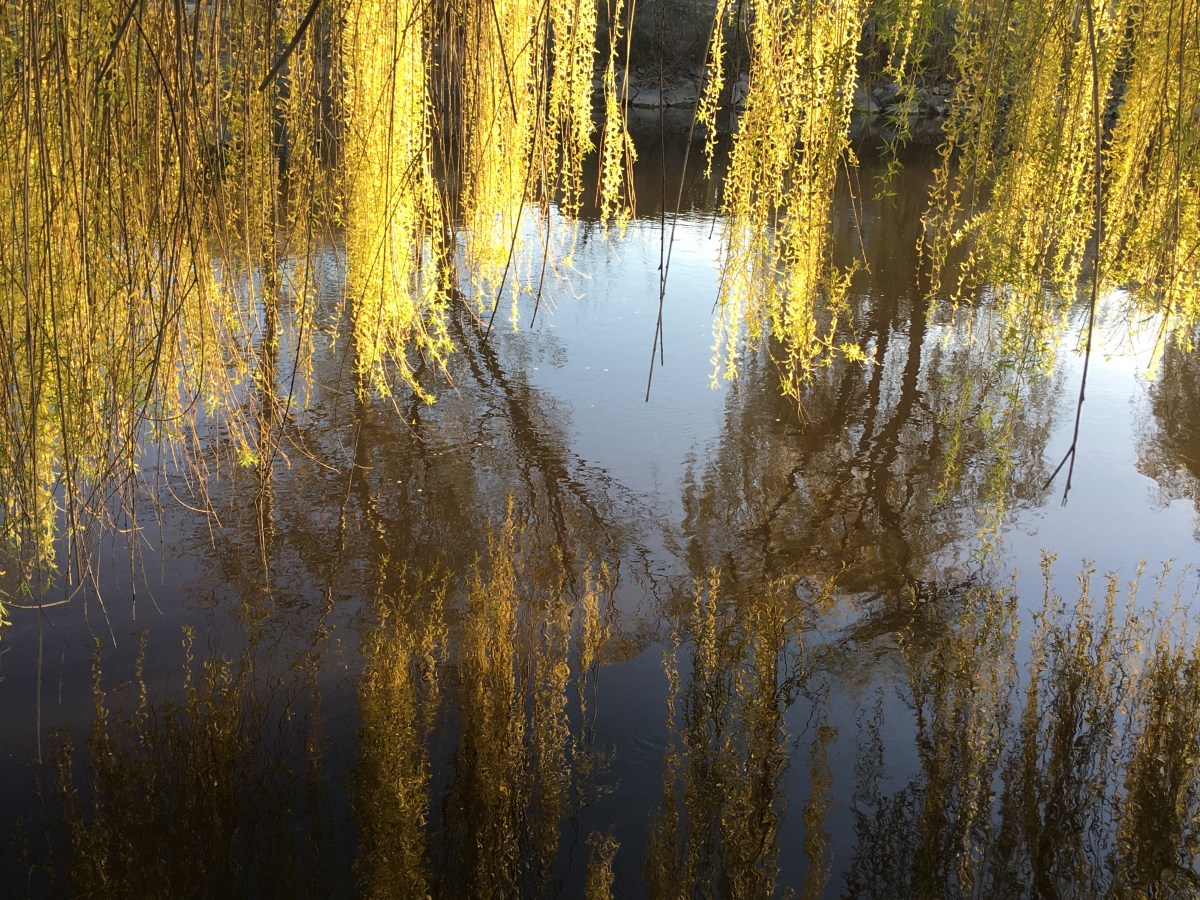 Littoral Listening 2021-2022: in practice, an archive – The FEELed lab