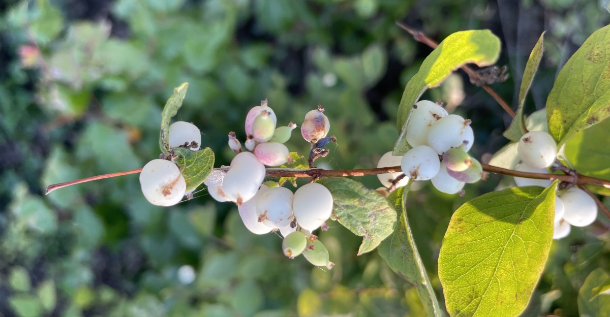 Apply here! – The FEELed lab